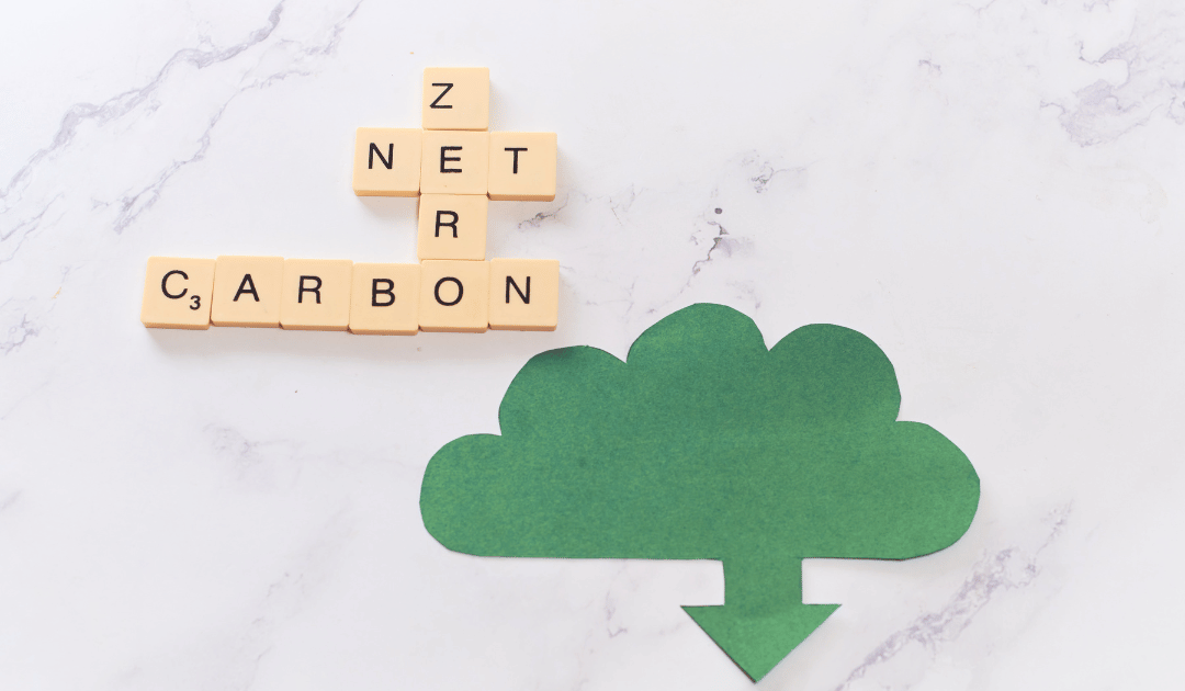 Net-Zero Challenge: How SMEs Can Cut Costs, Attract Talent, and Boost ...